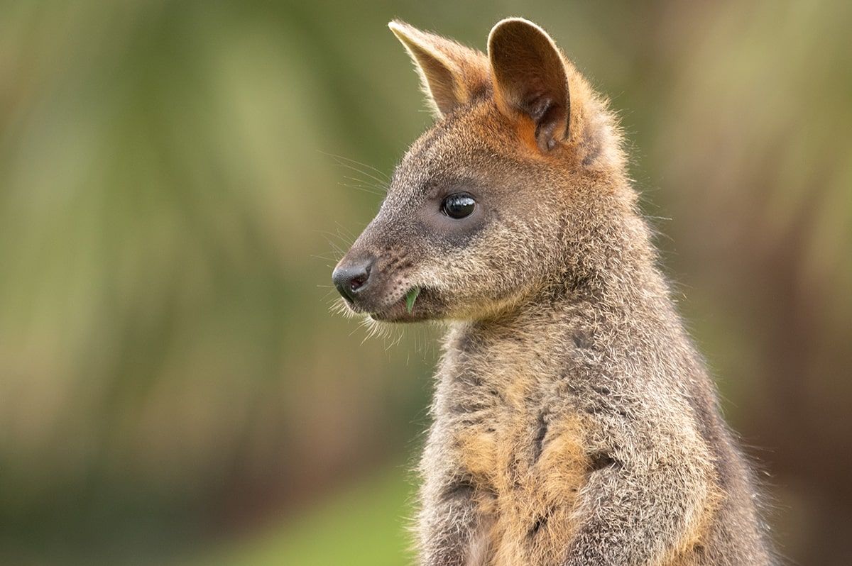 Loch Lomond Islands - discover Scotland's hidden gems - Find Islands