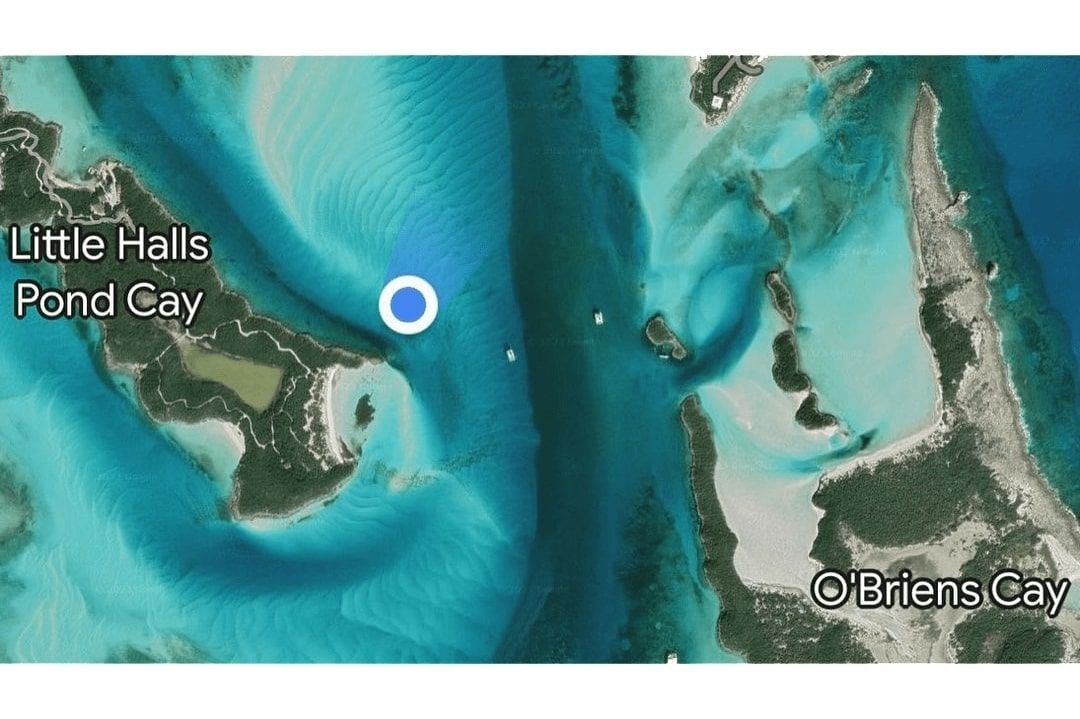 Discover Little Halls Pond Cay: The Ultimate Celebrity Getaway! - Find ...