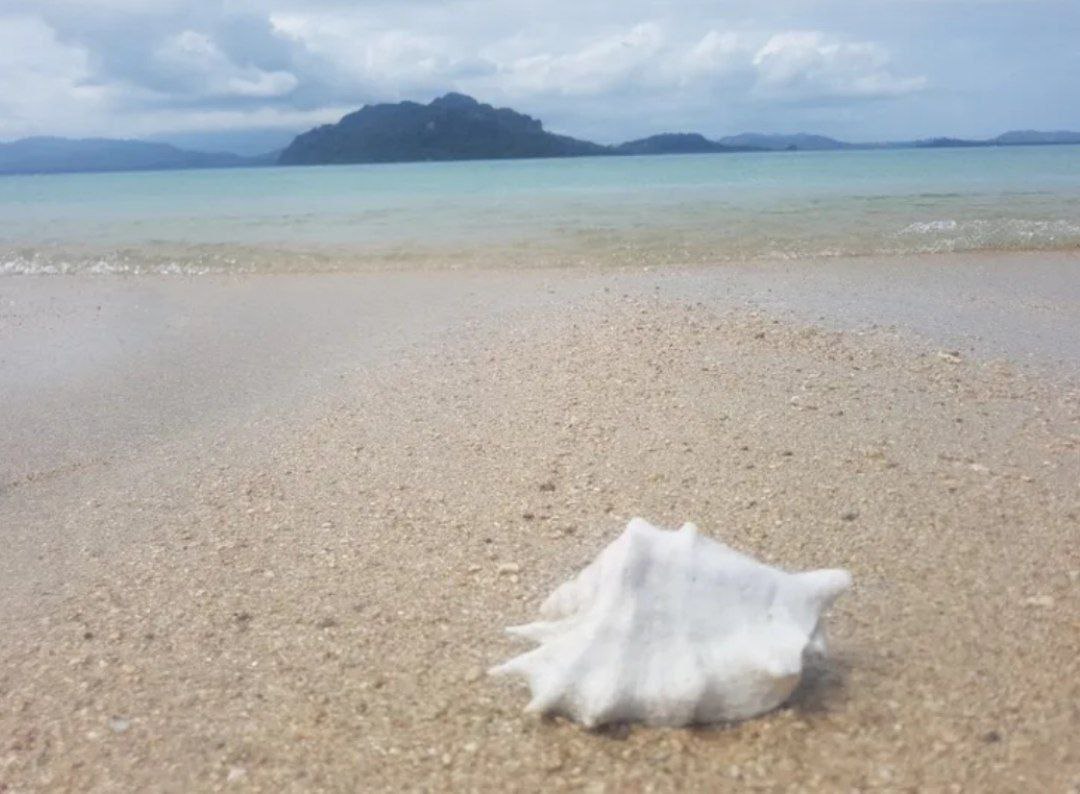 TATARAN ISLAND aka BAJA HANURA ISLAND for sale - Find Islands